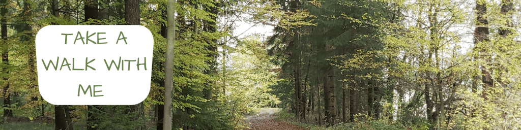 TAKE A WALK WITH ME | The Outdoor Bilingual Learner