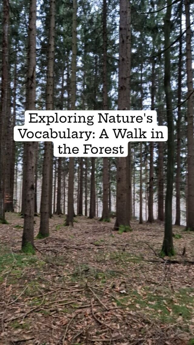 Resources | The Outdoor Bilingual Learner